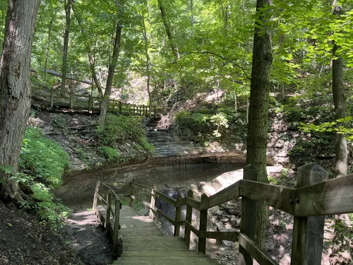 10 Best Waterfall Trails in Iowa | AllTrails