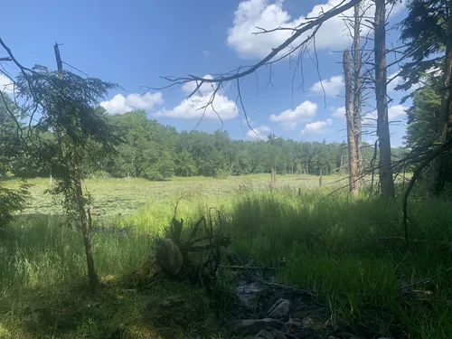 Best Hikes and Trails in Dyken Pond Environmental Education Center ...