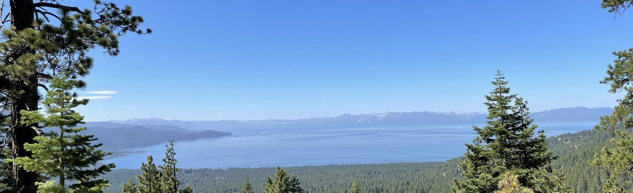 Old Mount Rose Highway Flume Loop: 118 Reviews, Map - Nevada | AllTrails