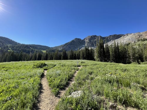 2023 Best 10 Trails and Hikes in Salt Lake City | AllTrails