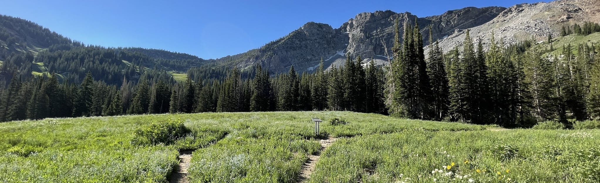 Cecret Lake Trail: 3,229 Reviews, Map - Utah | AllTrails