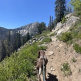 Eagle Lakes Trail, Washington - 110 Reviews, Map | AllTrails