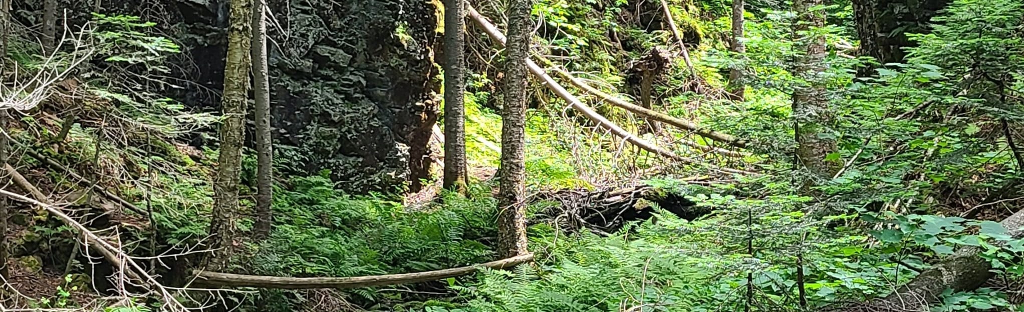 Kempt Falls: 9 Reviews, Map - Quebec, Canada | AllTrails