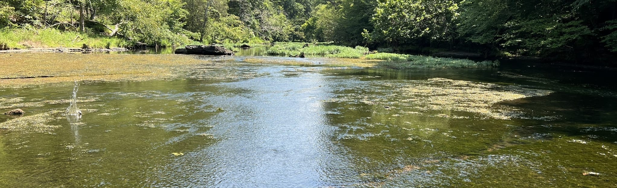 AllTrails | Old Stone Fort Loop: 66 Reviews, Map - Tennessee