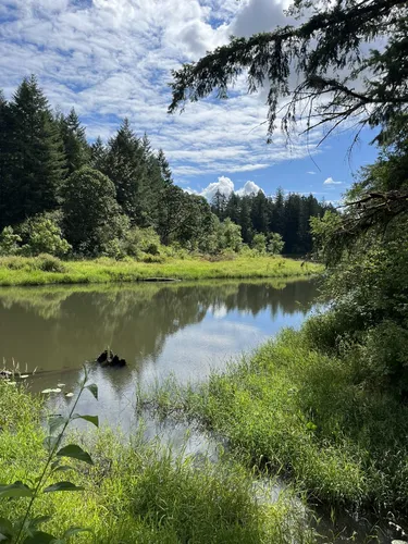 10 Best Trails and Hikes in Camas | AllTrails