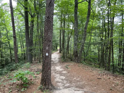 2023 Best 10 Backpacking Trails in Red River Gorge Geological Area ...