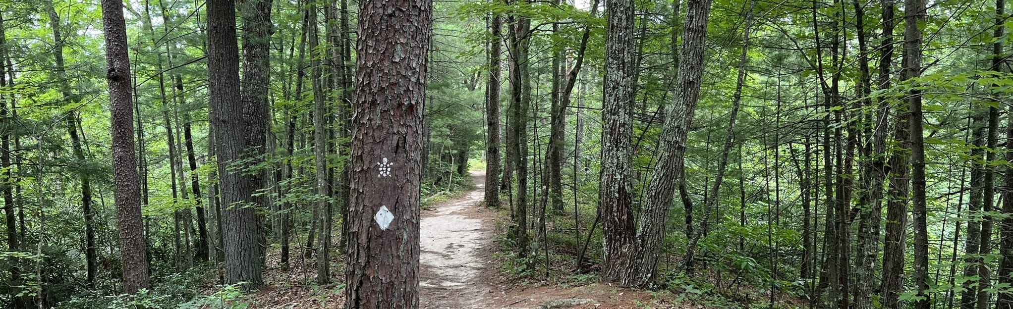 Pinch-Em Tight Trail, Kentucky - 166 Reviews, Map | AllTrails