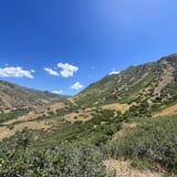 Red Butte Gardens Small Loop, Utah - 265 Reviews, Map | AllTrails
