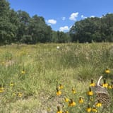 Red Butte Gardens Small Loop, Utah - 265 Reviews, Map | AllTrails