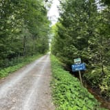 Uhthoff Trail: Orillia to Waubaushene, Ontario, Canada - 88 Reviews ...
