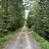 Uhthoff Trail: Orillia to Waubaushene, Ontario, Canada - 88 Reviews ...