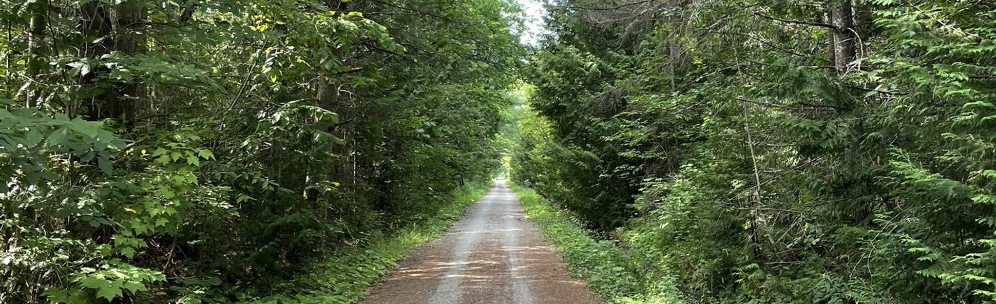 Uhthoff Trail: Coldwater to Orilia: 16 Reviews, Map - Ontario, Canada ...