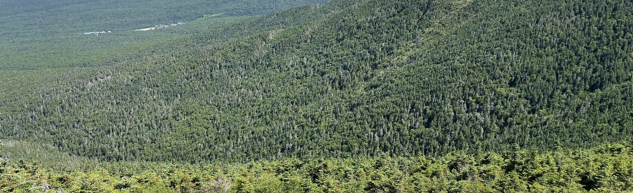 Edmand and Crawford Path: 342 Reviews, Map - New Hampshire | AllTrails