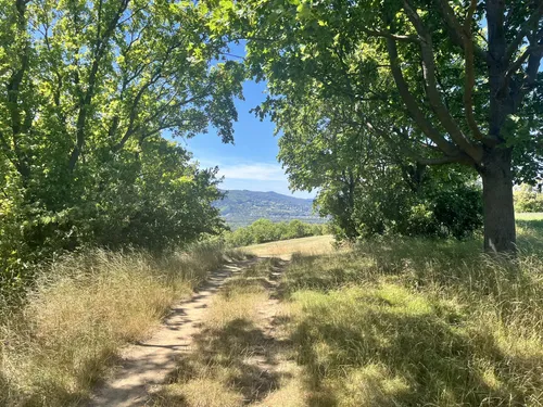 2023 Best 10 Trails and Hikes in Vienna | AllTrails