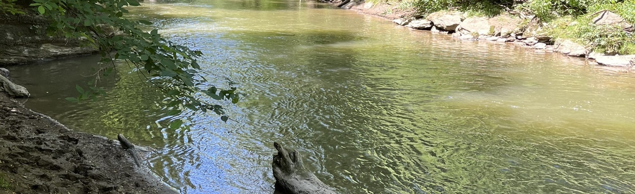 Pequea Creek Nature Trail (Conestoga Trail Segment): 309 Reviews, Map ...