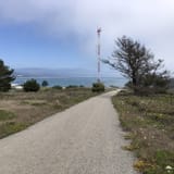 Pillar Point Bluff Trail, California - 569 Reviews, Map | AllTrails