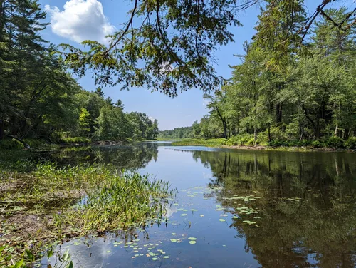 Best Hikes and Trails in Tully Lake Recreation Area | AllTrails