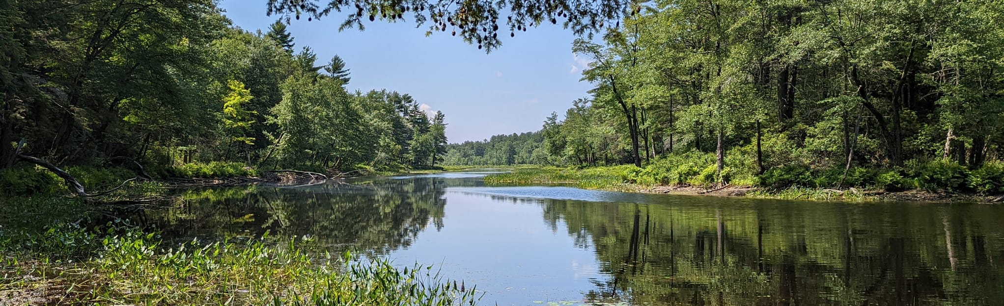 Falls Brook Shelter via Tully Trail, Massachusetts - 53 Reviews, Map ...