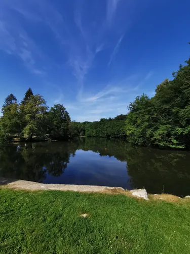 Best Hikes and Trails in Forêt communale de Hirson | AllTrails