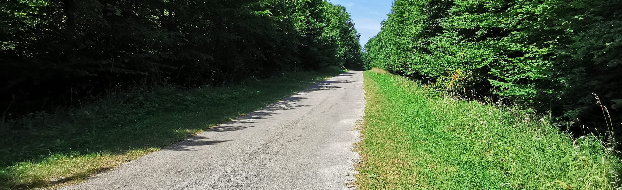 Forêt d'Hirson Greenway: 3 Fotos - Aisne, Frankreich | AllTrails