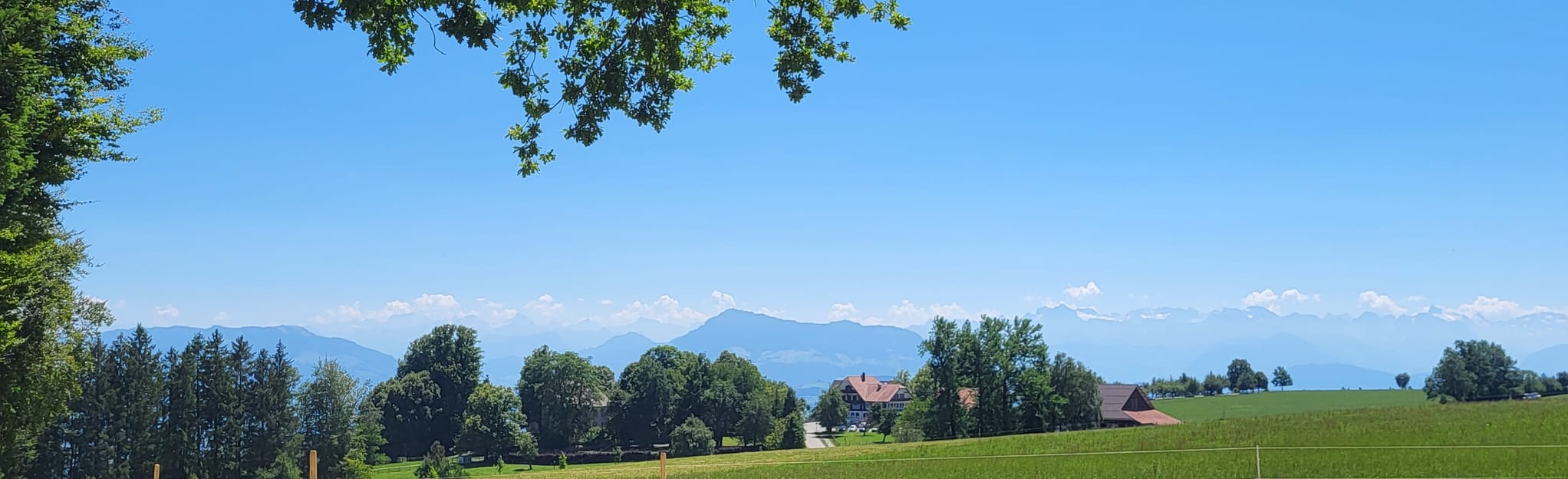 Lindenberg via Horben, Aargau, Switzerland - 6 Reviews, Map | AllTrails