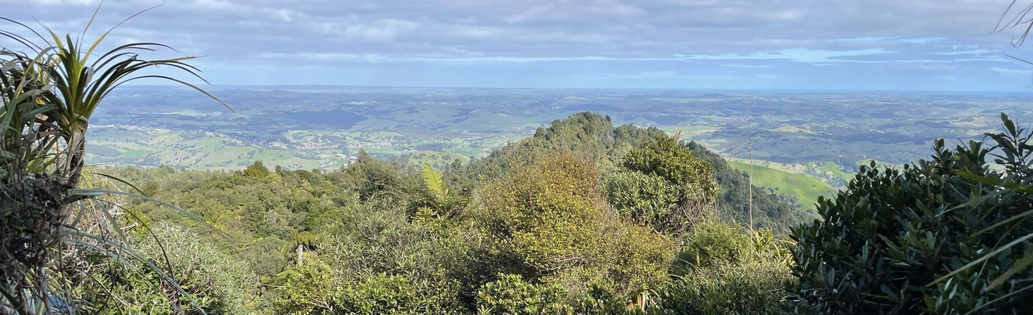 Tangihua Hut Track, Northland, New Zealand - 4 Reviews, Map | AllTrails