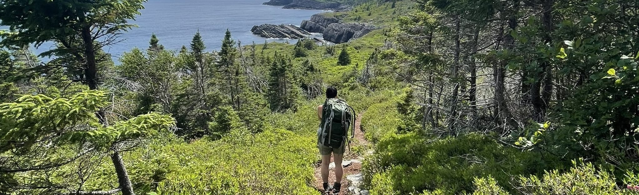 Shoal Bay Road to Spout Path - Newfoundland and Labrador, Canada ...