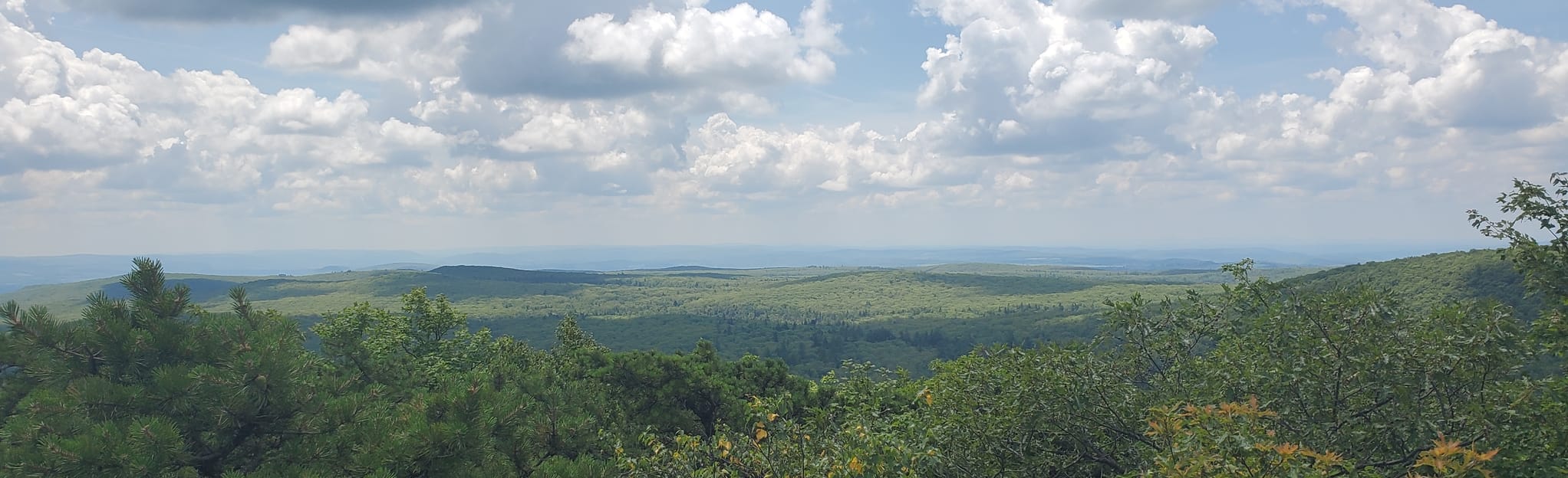 Bear Mountain and Mount Race via Undermountain and Appalachian Trail ...