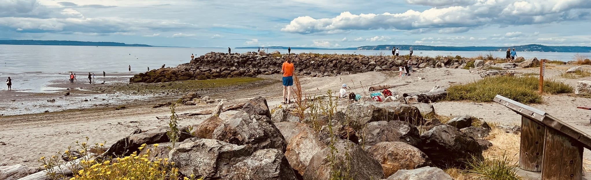 Edmonds Boardwalk to Marina Beach Park: 199 foto's - Washington ...