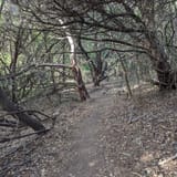 Woodway Trail, Texas - 298 Reviews, Map | AllTrails