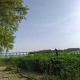 Woodway Trail, Texas - 298 Reviews, Map | AllTrails