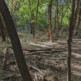 Woodway Trail, Texas - 298 Reviews, Map | AllTrails