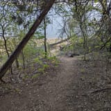 Woodway Trail, Texas - 298 Reviews, Map | AllTrails