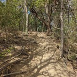 Woodway Trail, Texas - 298 Reviews, Map | AllTrails