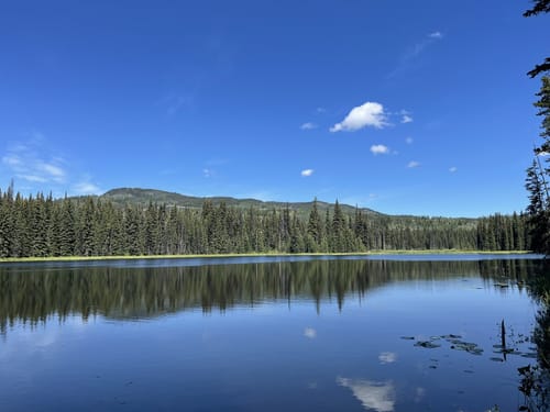 2023 Best 10 Forest Trails in Burns Lake | AllTrails
