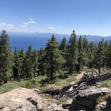 Brockway Summit to Mount Baldy Loop, California - 183 Reviews, Map ...