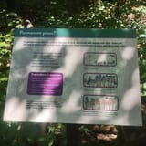 Lost '40' Trail, Minnesota - 162 Reviews, Map | AllTrails