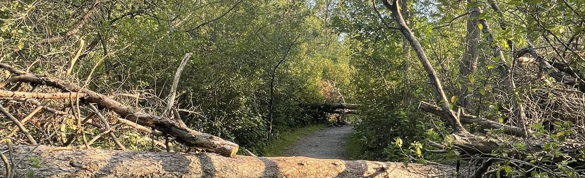 Old Quarry Trail: 540 Reviews, Map - Ontario, Canada | AllTrails