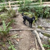 Red Town and Wildside Trails, Washington - 645 Reviews, Map | AllTrails