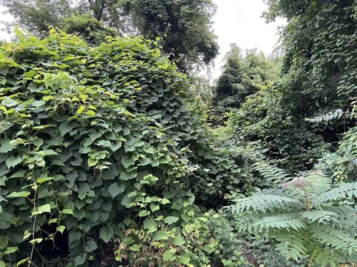 Best Hikes and Trails in Sutcliffe Park | AllTrails