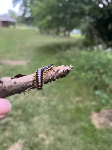 Best Hikes and Trails in Padgett Park | AllTrails