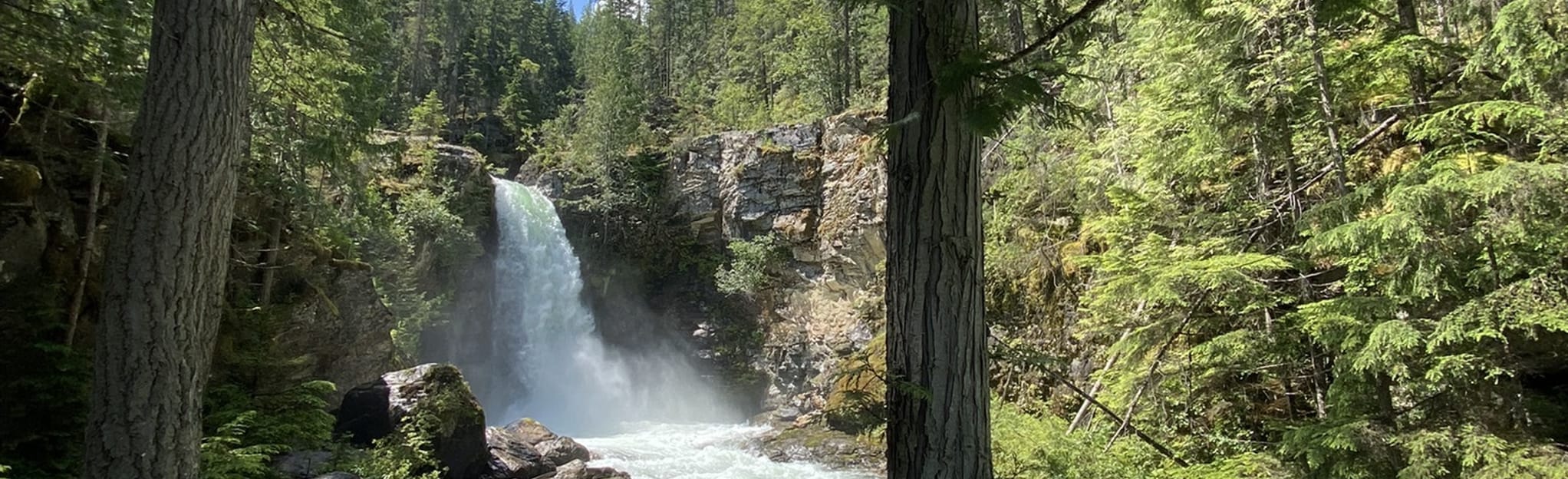 Sutherland Falls, British Columbia, Canada - 108 Reviews, Map | AllTrails