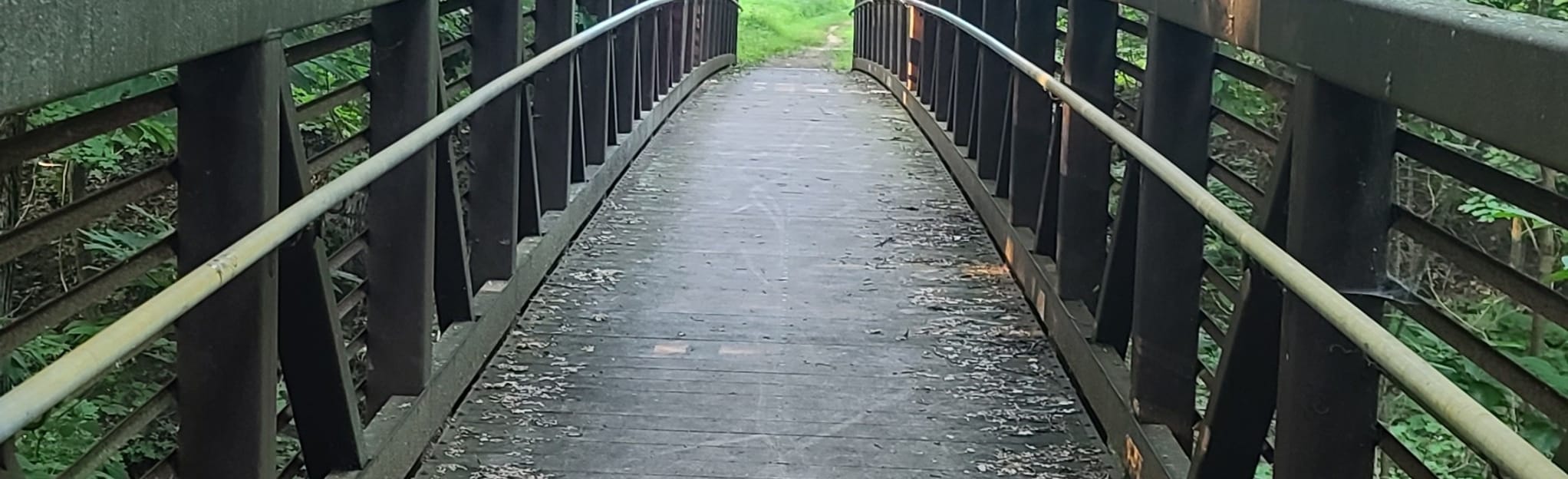 North Robinson Trail Short Loop | Map, Guide - Illinois | AllTrails