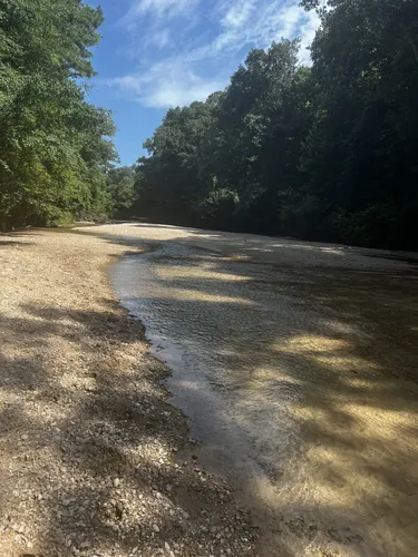 Best Hikes and Trails in Homochitto National Forest | AllTrails