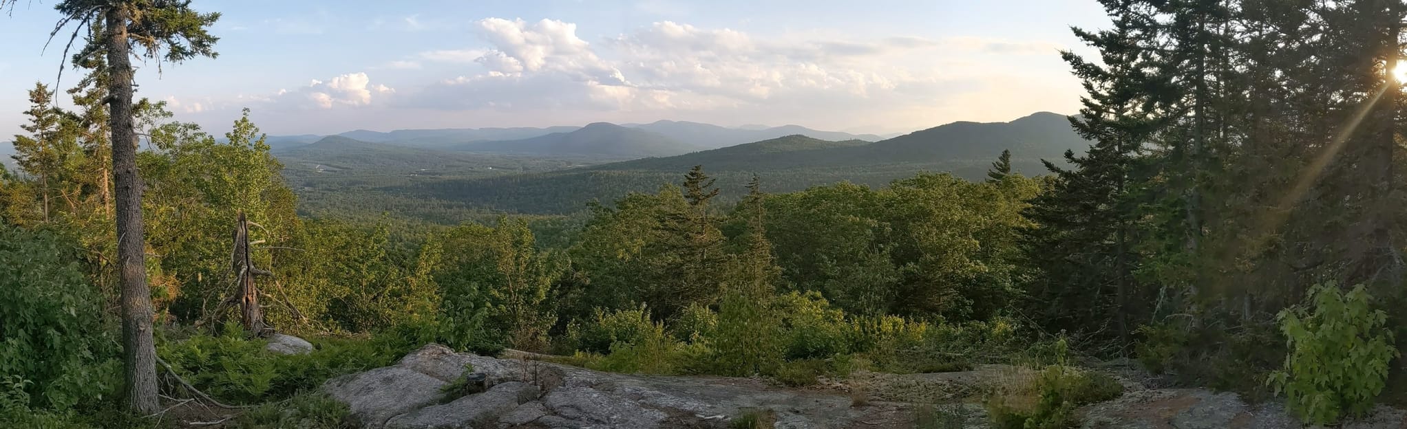 Bethel Community Forest Ridge Summit Trail, Maine - 264 Reviews, Map ...