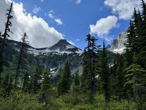 Best 10 Hikes and Trails in Chilliwack Lake Provincial Park | AllTrails