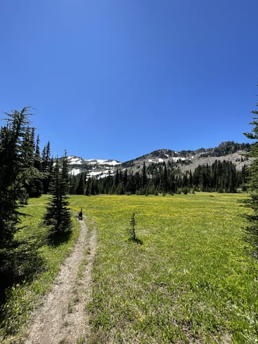 2023 Best River Trails in Goat Rocks Wilderness | AllTrails