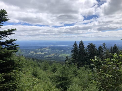 2023 Best 10 Forest Trails in Yacolt Burn State Forest | AllTrails