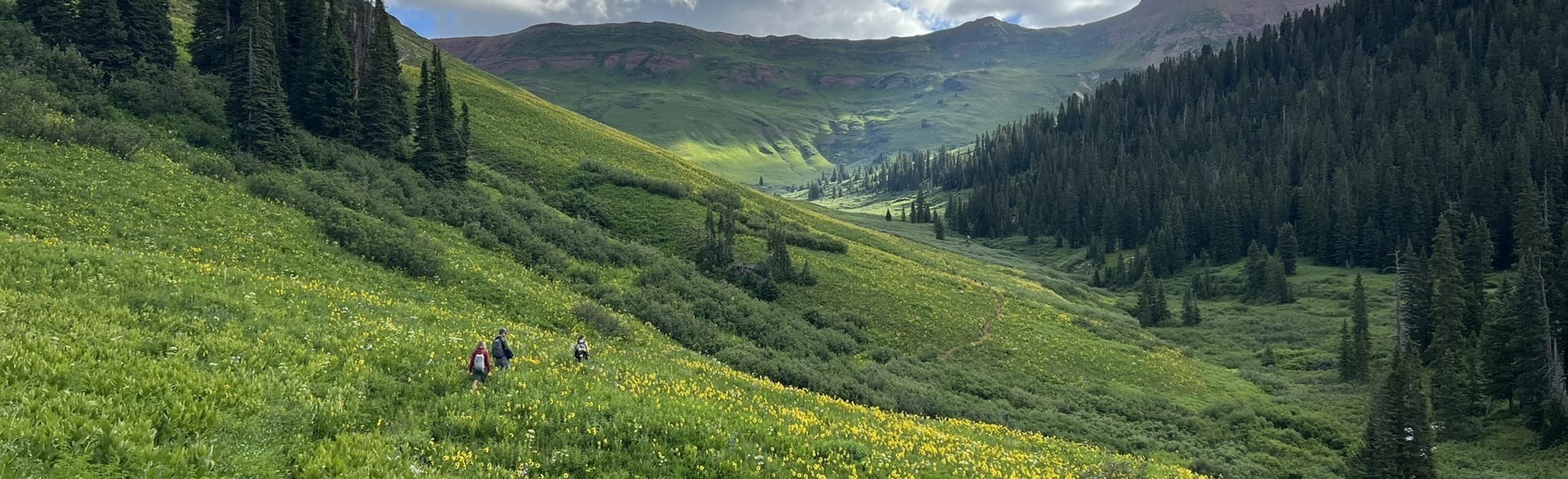 Hasley Basin Trail, Colorado - 19 Reviews, Map | AllTrails