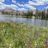 Ruth Lake Trail, Utah - 388 Reviews, Map | AllTrails
